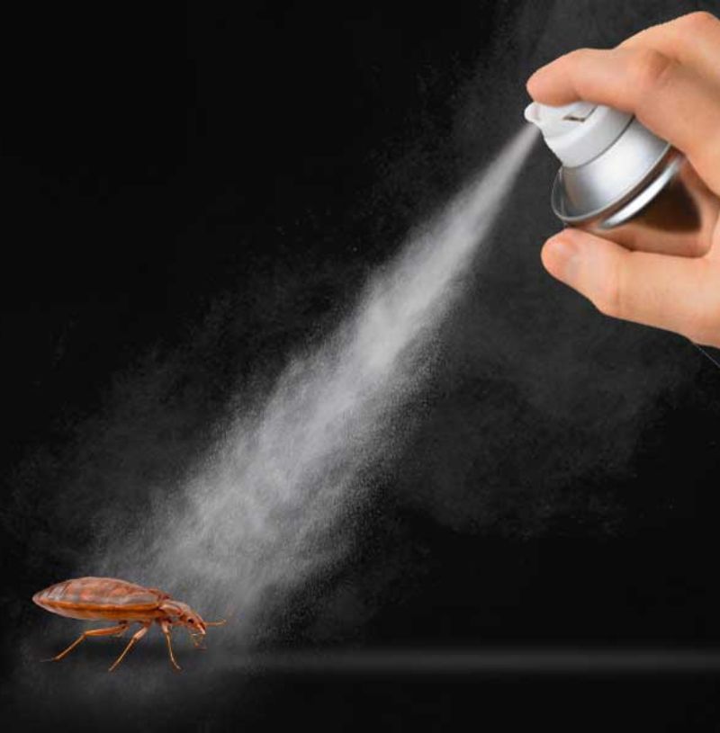 Bed Bug Sprays Pest Supply Canada