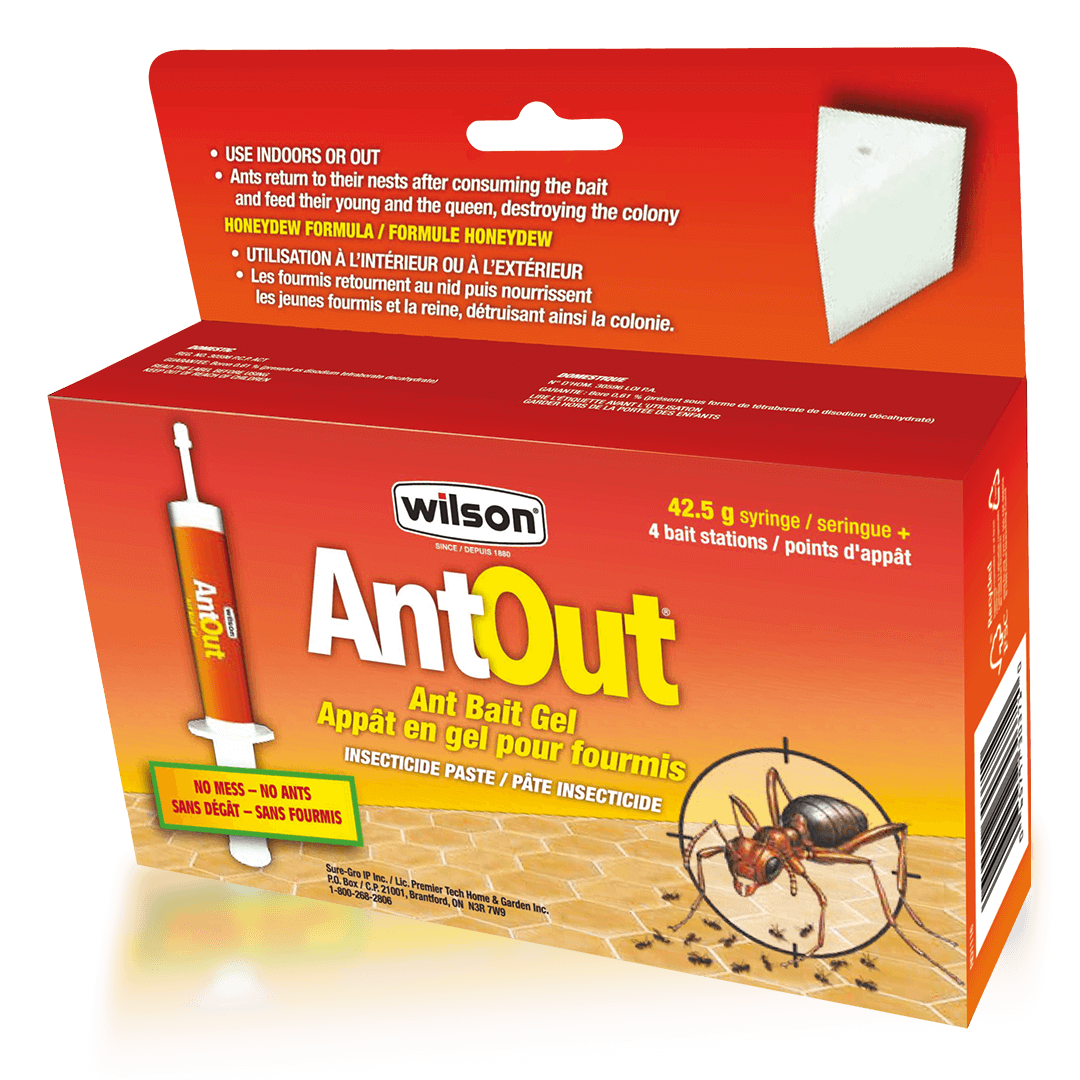 How Do Ant Traps Work? How to Make It More Effective? – Pest Supply Canada