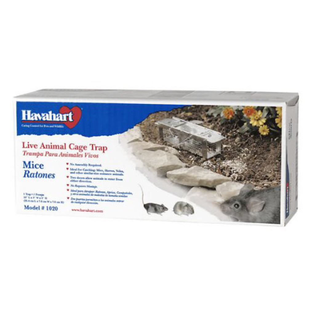 Mouse vs Rat – Pest Supply Canada